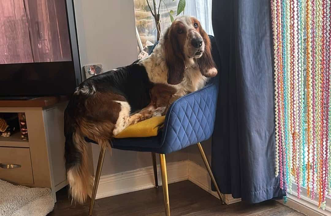 Please welcome Gunther - BRNGB